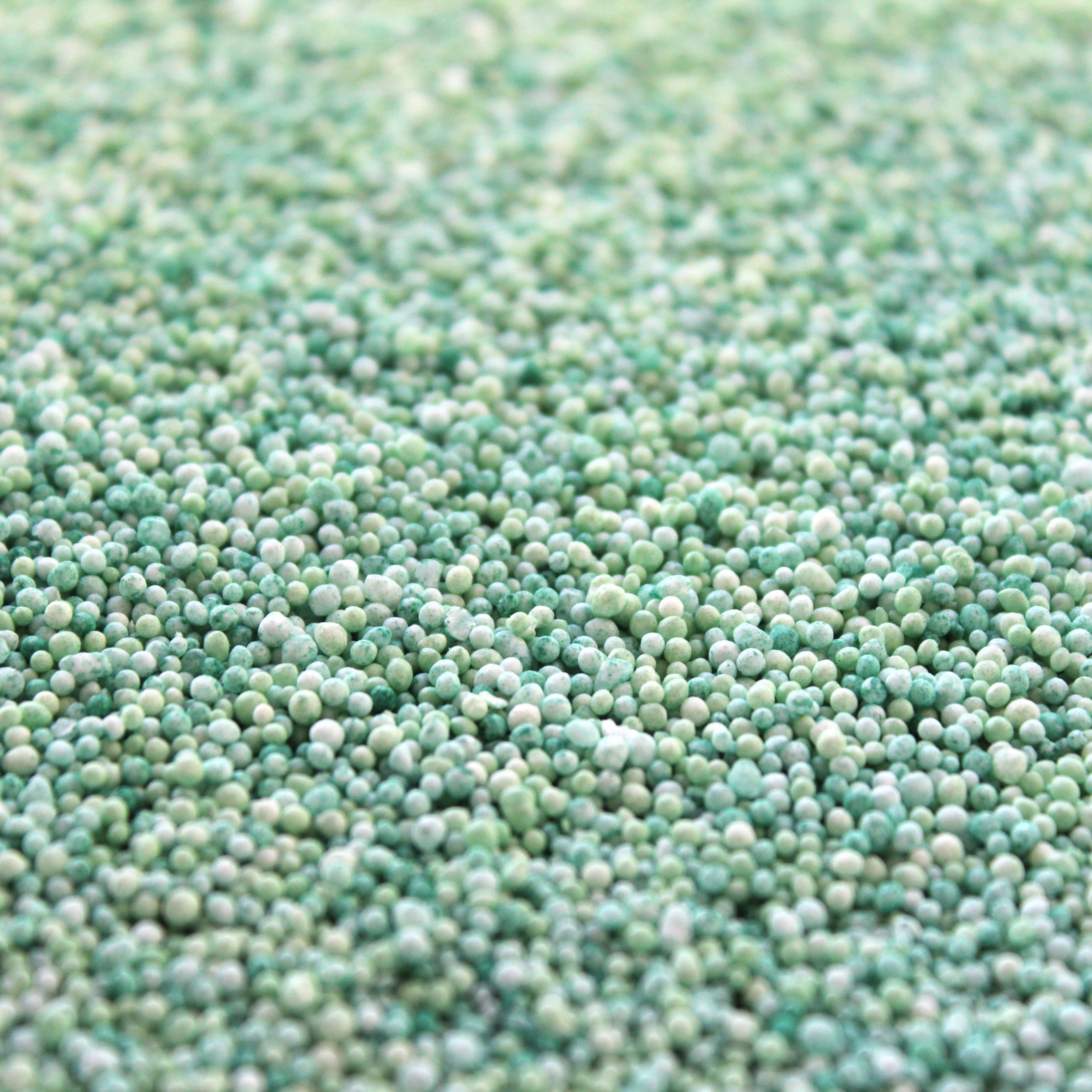 Ombre Green HAND COLOURED – The Sprinkle Club